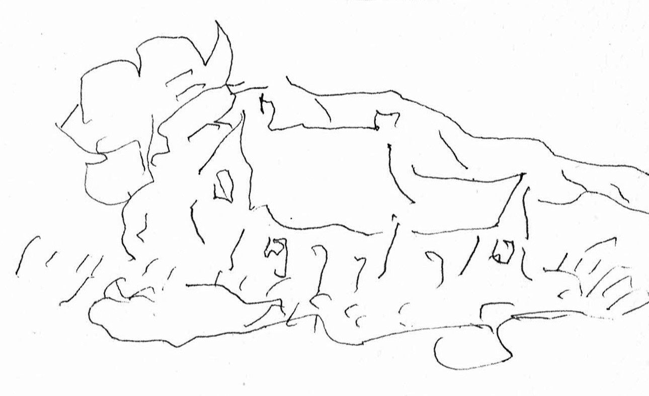 The case for Willy-willy | The Times