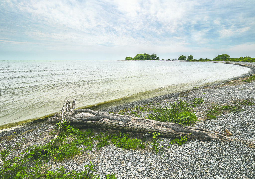 Frozen Moments by Bert Jenkins | The Times